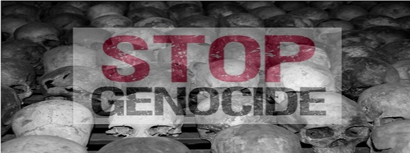 Document-Based Argumentation and International Response to Genocide ...